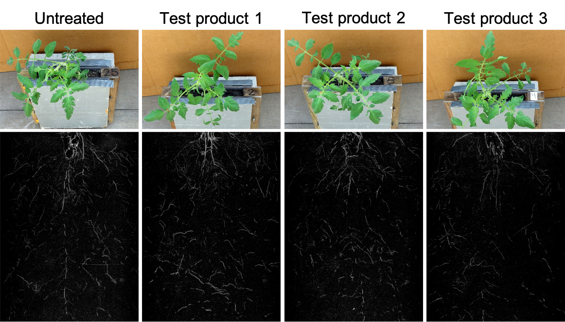 Plant Characterization Technologies Aid Analysis – AgriThority®