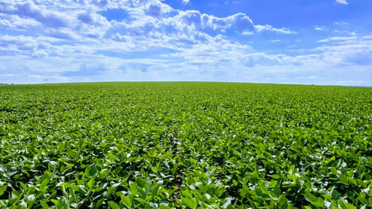 Critical Crop Production Issues Challenge Researchers and Growers ...