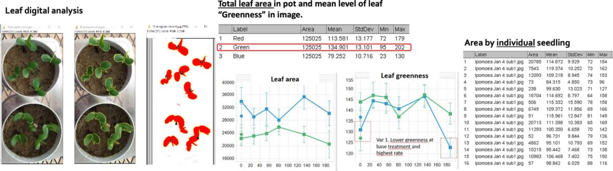 Precision Agriculture: Digital Images in Crop Trials Improve Results
